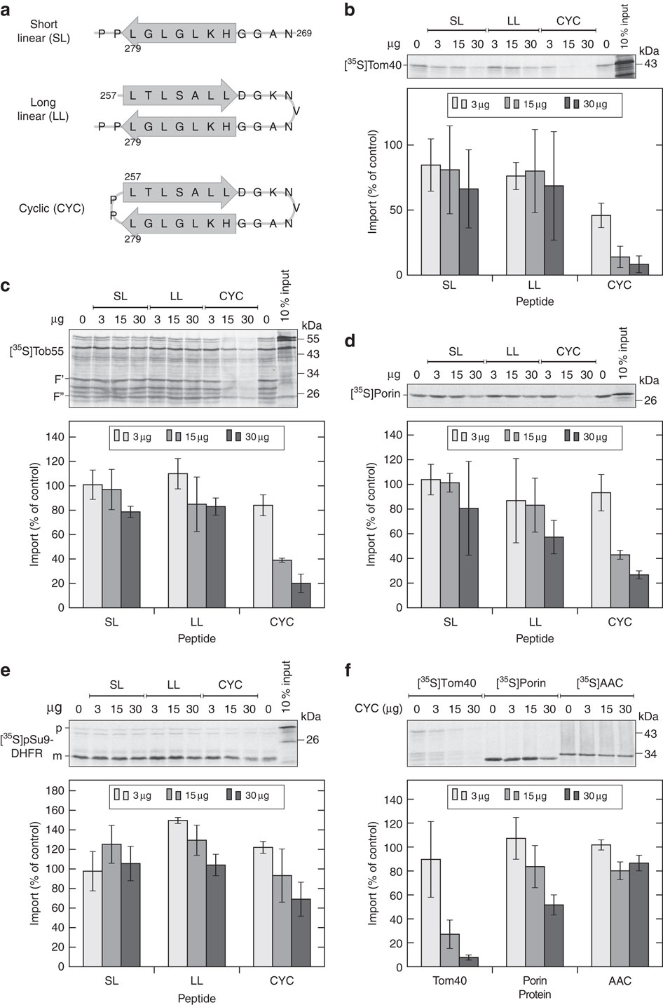 线粒体β-桶形蛋白质中靶向信号的特征。,Nature Communications - X-MOL