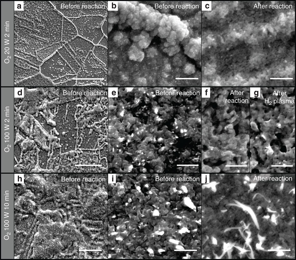Highly selective plasma-activated copper catalysts for carbon dioxide ...