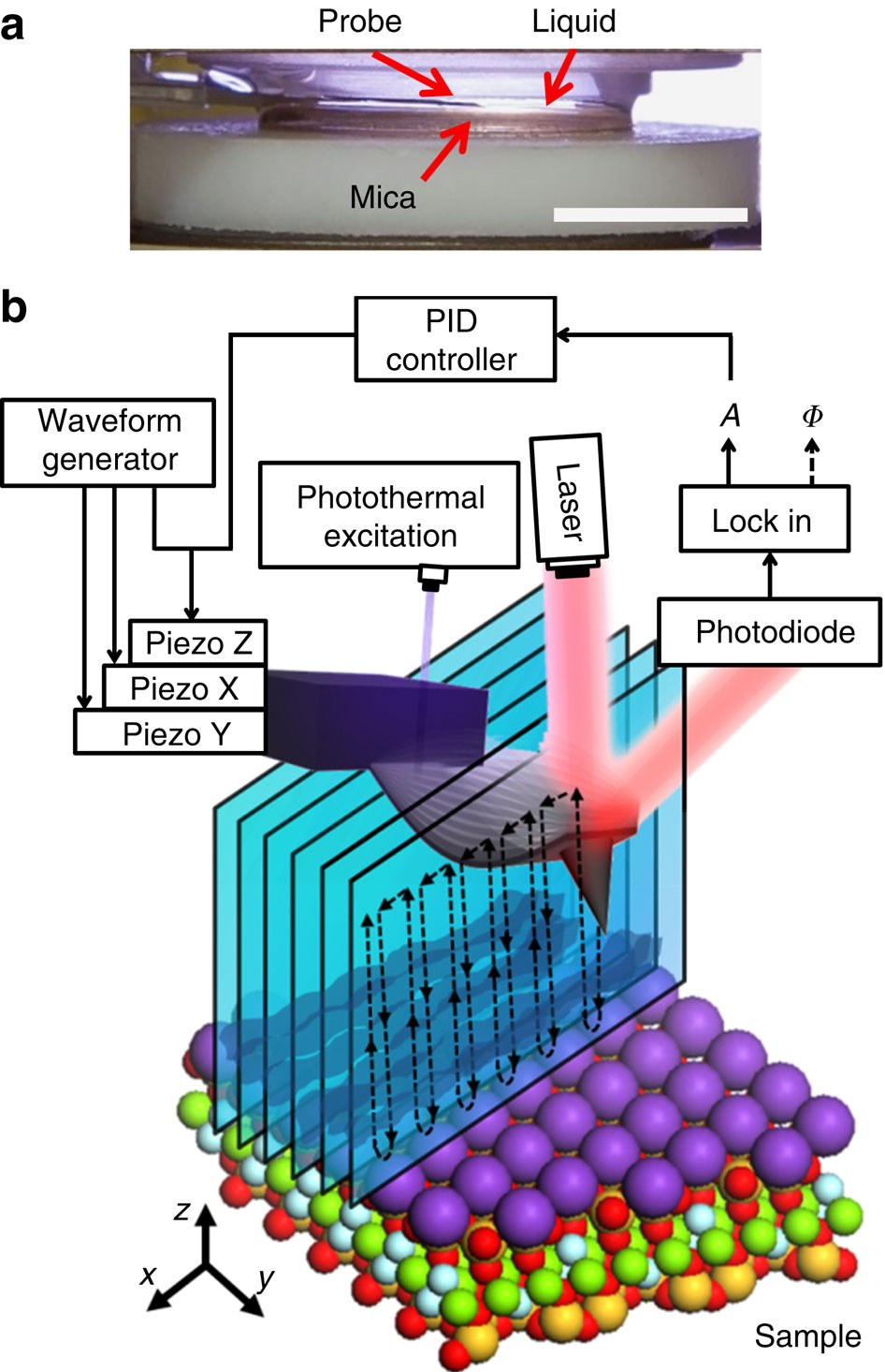 Atomically resolved three-dimensional structures of electrolyte aqueous solutions near a solid ...