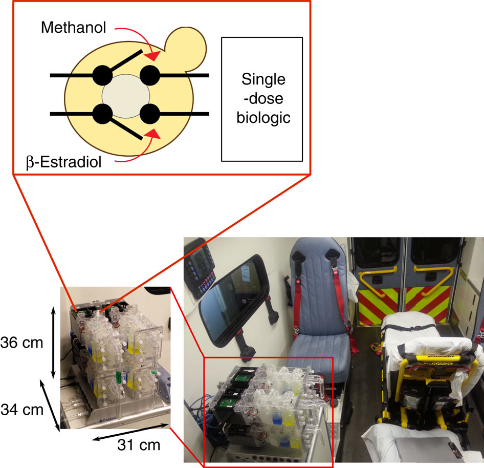 Synthetic biology and microbioreactor platforms for programmable ...