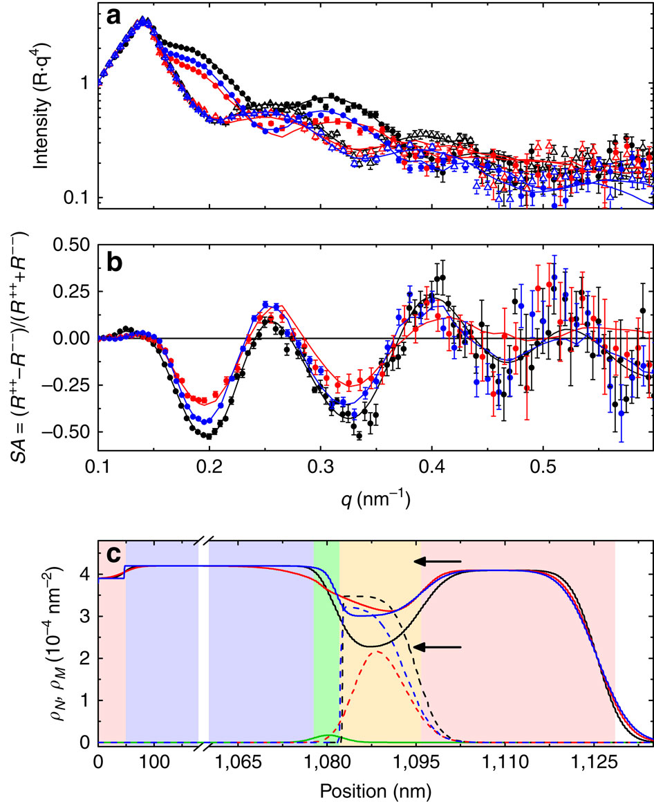Structural and magnetic depth profiles of magneto-ionic heterostructures beyond the interface ...