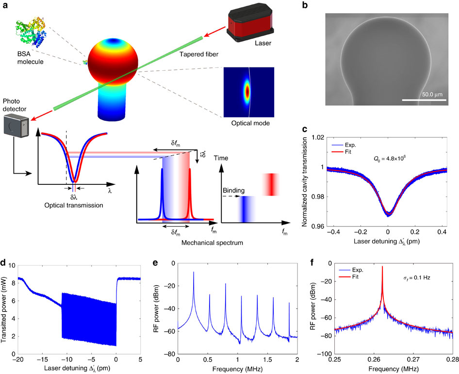 Cavity optomechanical spring sensing of single molecules.,Nature ...