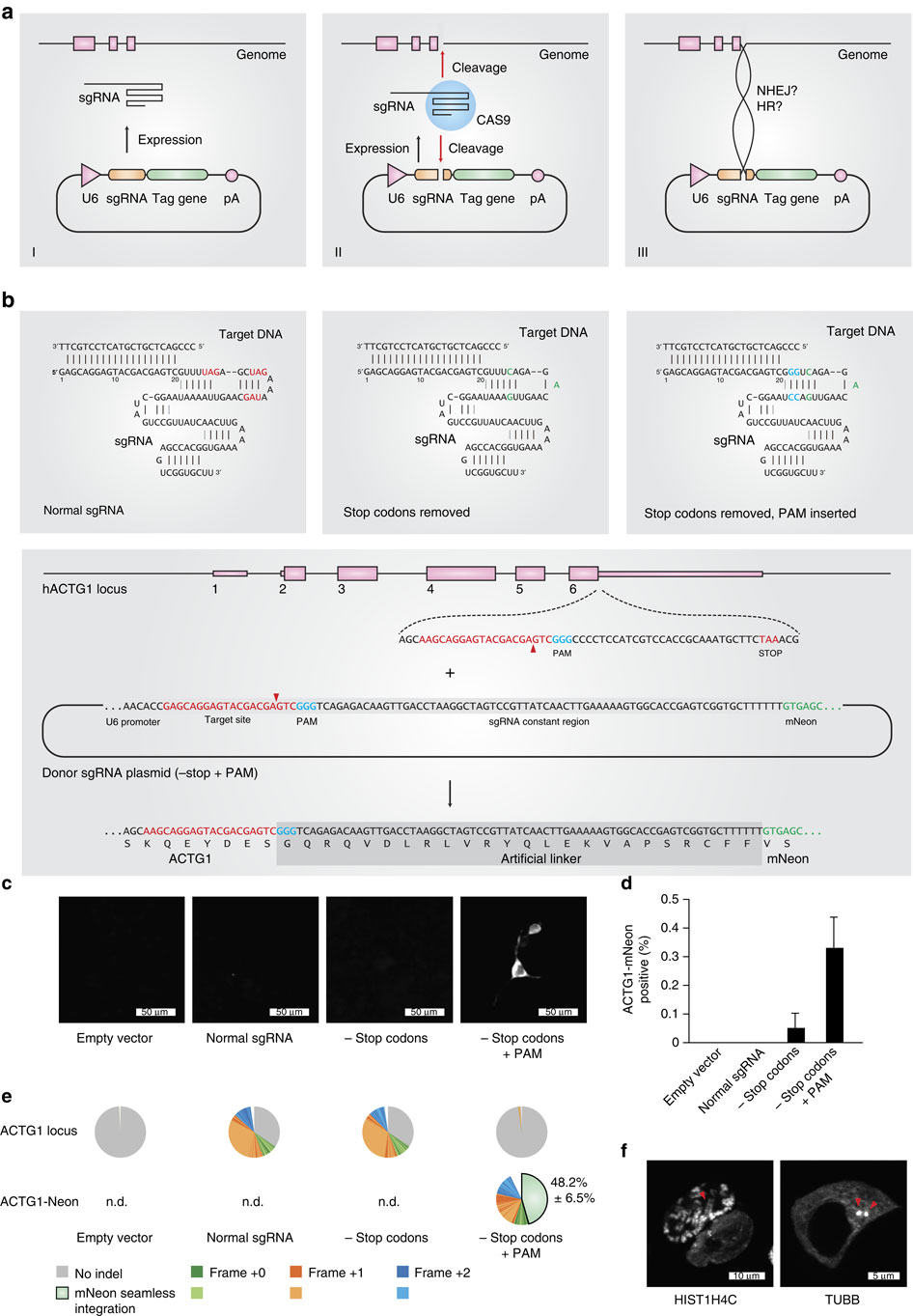 CRISPaint allows modular base-specific gene tagging using a ligase-4 ...