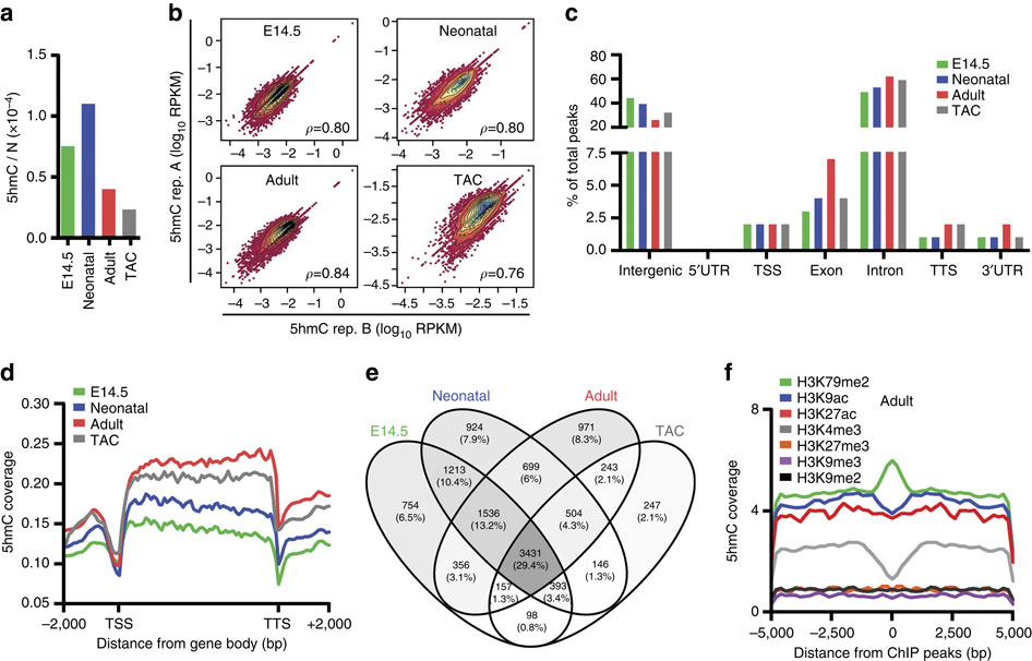 DNA hydroxymethylation controls cardiomyocyte gene expression in ...