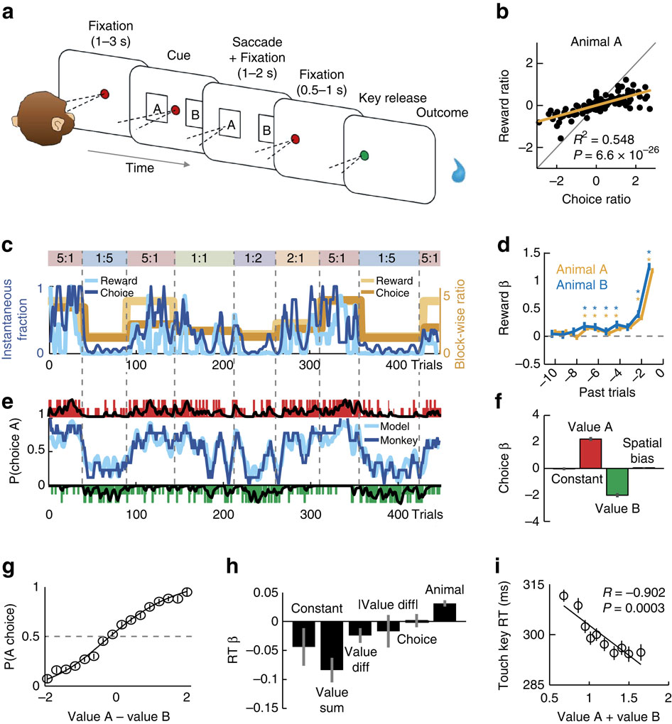 A dynamic code for economic object valuation in prefrontal cortex ...