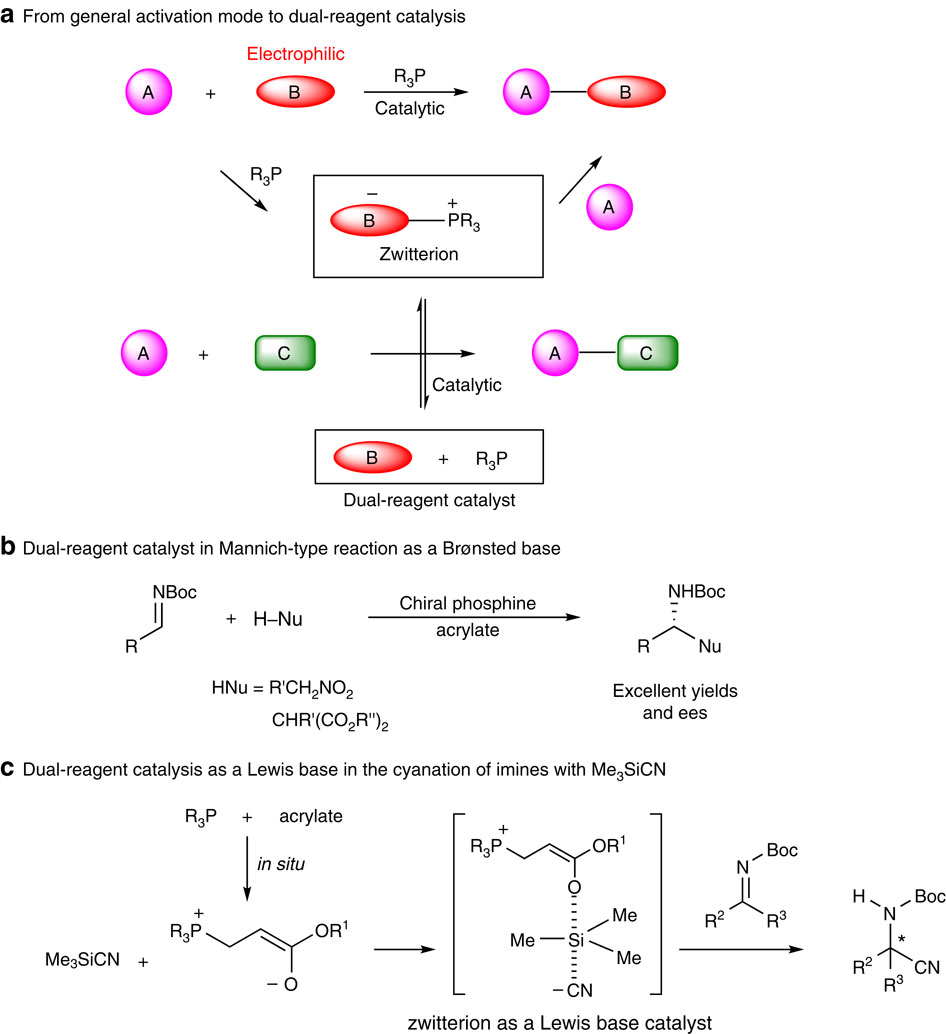Asymmetric cyanation of imines via dipeptide-derived organophosphine ...