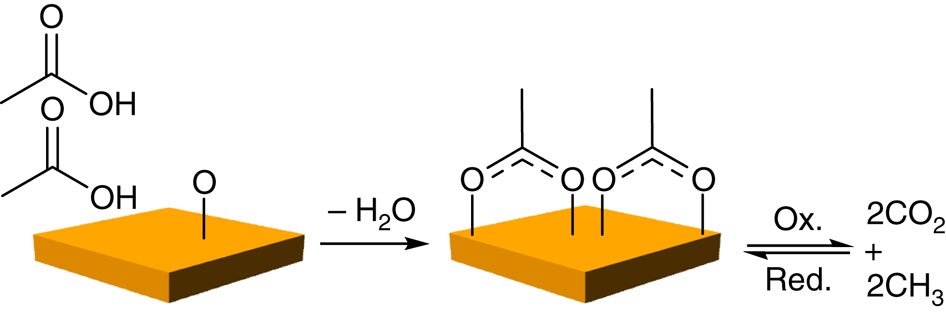 Self-assembly of acetate adsorbates drives atomic rearrangement on the ...