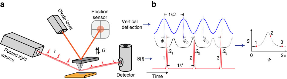 Scattering-type scanning near-field optical microscopy with low ...