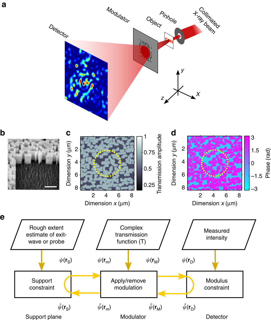 Phase retrieval by coherent modulation imaging.,Nature Communications - X-MOL
