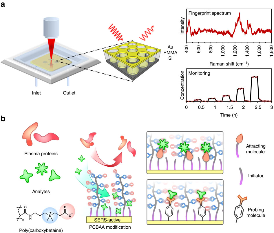 Hierarchical zwitterionic modification of a SERS substrate enables real ...