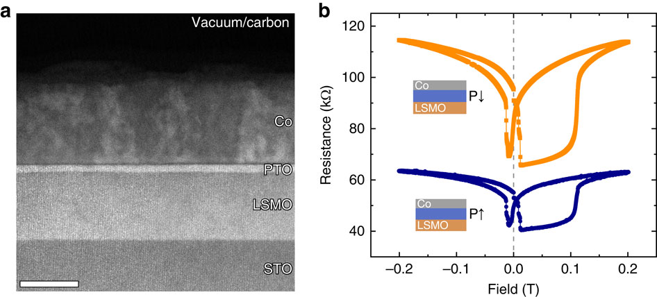 Polarization curling and flux closures in multiferroic tunnel junctions ...