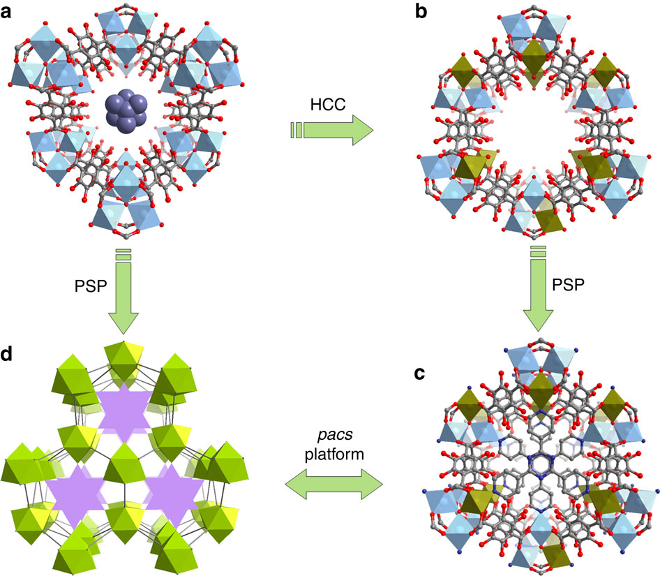 An ultra-tunable platform for molecular engineering of high-performance ...