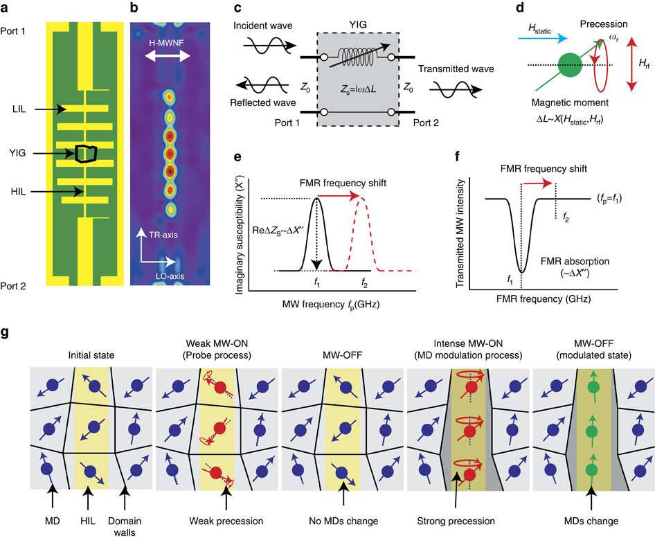 Adaptive microwave impedance memory effect in a ferromagnetic insulator ...