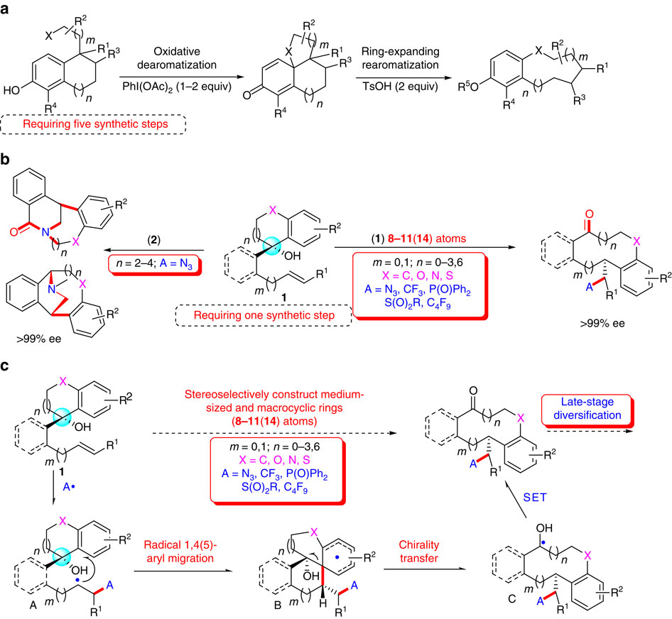 Radical aryl migration enables diversity-oriented synthesis of ...