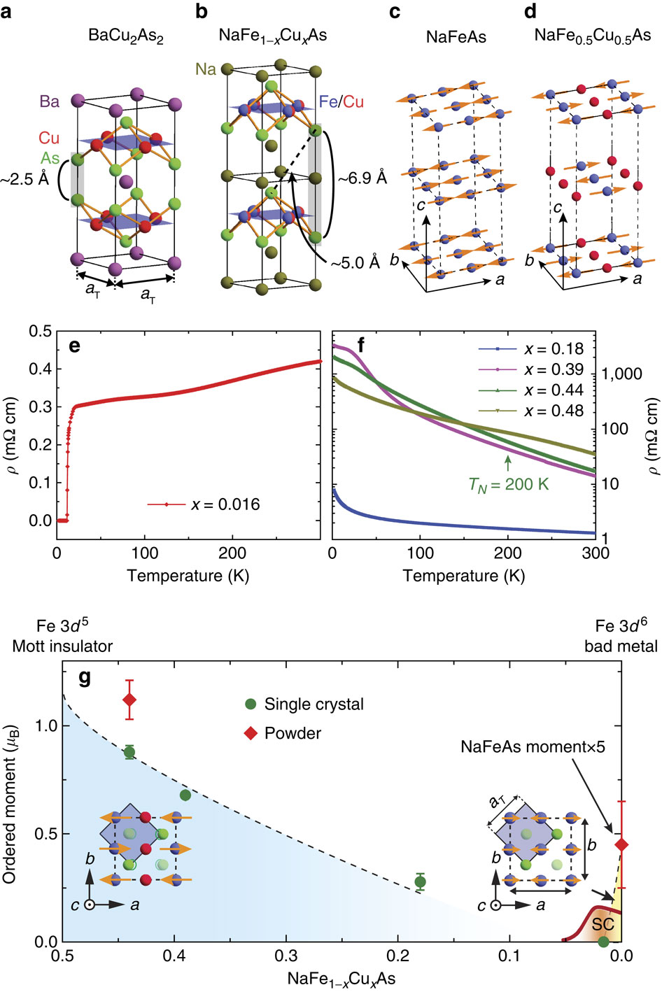 A Mott insulator continuously connected to iron pnictide ...