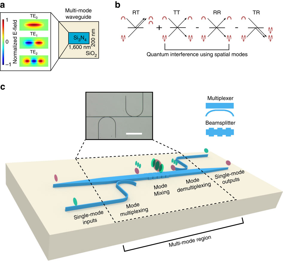 Quantum interference between transverse spatial waveguide modes.,Nature Communications - X-MOL