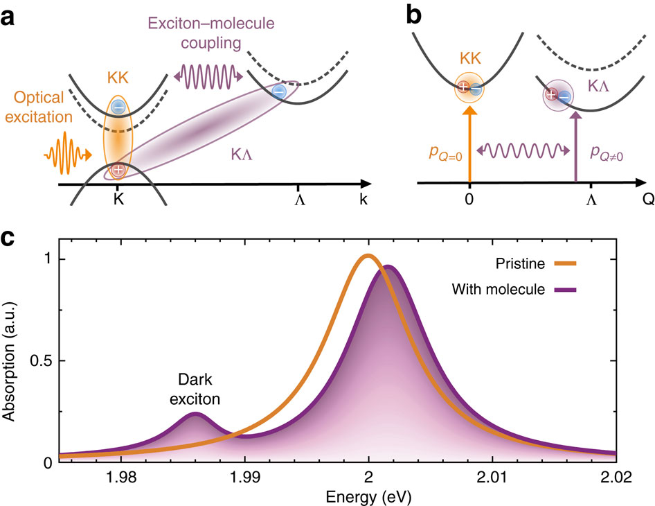 Proposal for dark exciton based chemical sensors.,Nature Communications - X-MOL