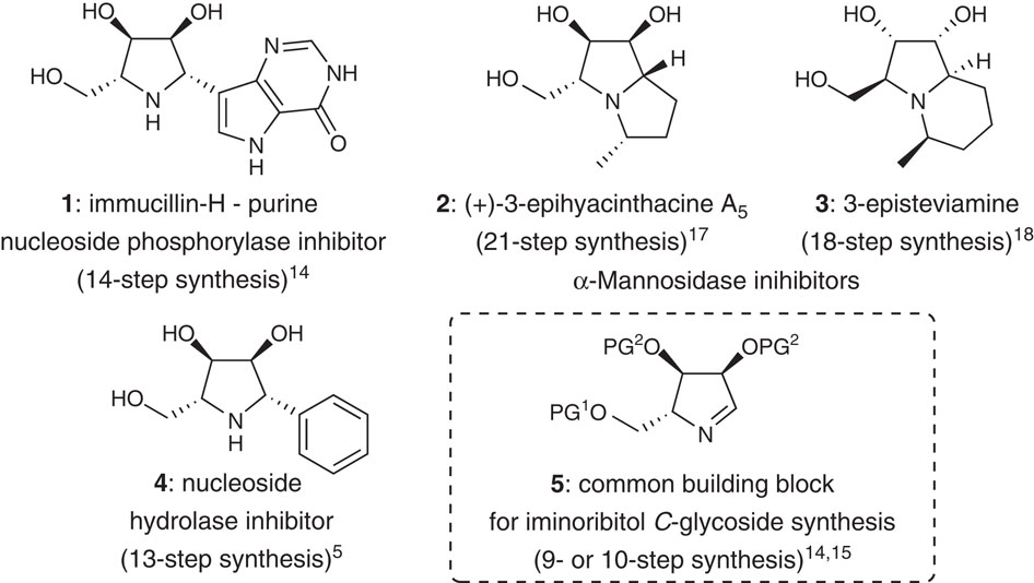 Direct synthesis of imino-C-nucleoside analogues and other biologically ...