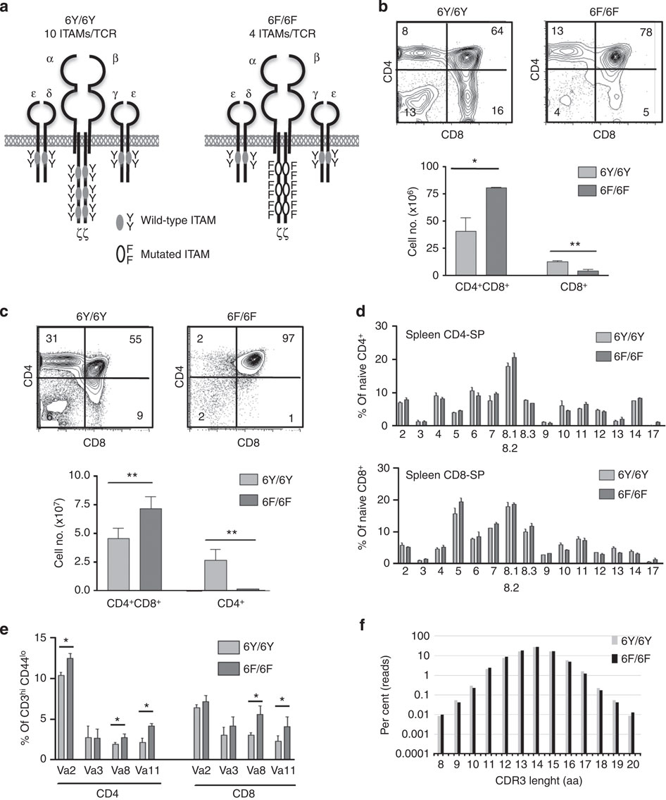TCR ITAM 多重性是滤泡辅助性 T 细胞产生所必需的。,Nature Communications - X-MOL
