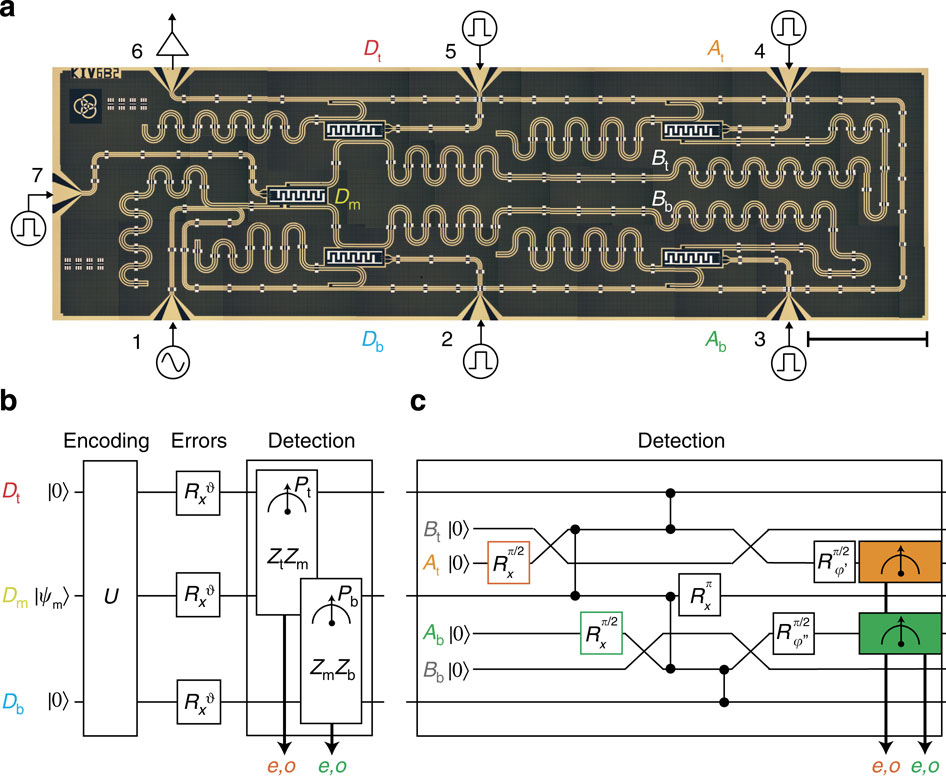 Detecting bit-flip errors in a logical qubit using stabilizer measurements.,Nature ...