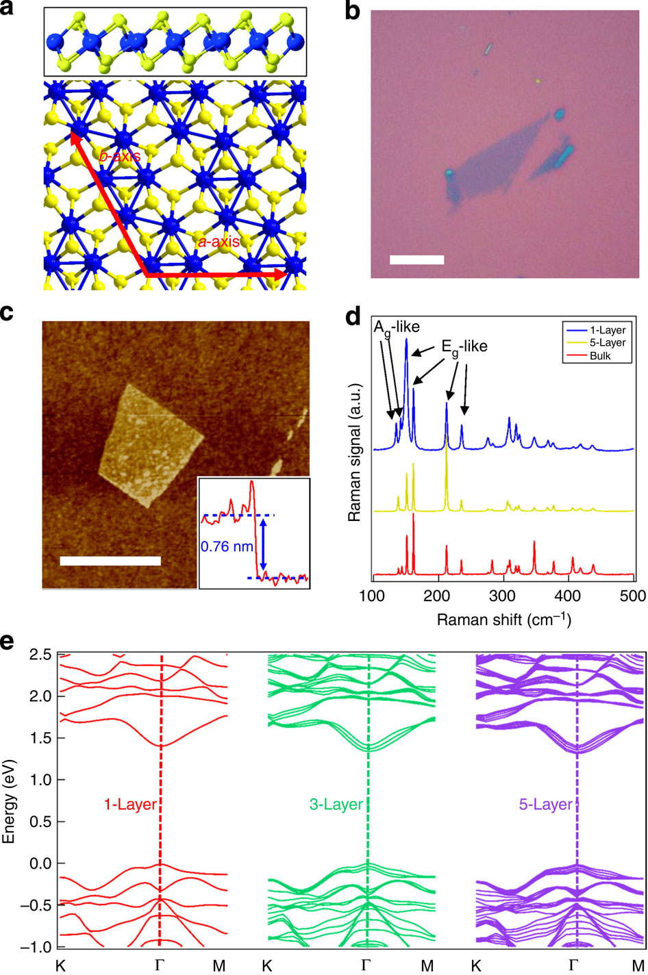 Integrated digital inverters based on two-dimensional anisotropic ReS2 field-effect transistors ...