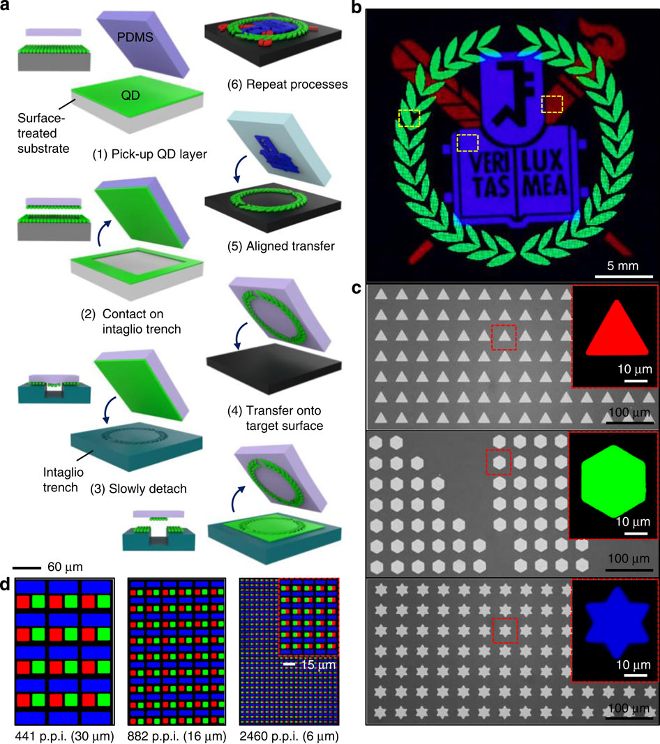 Wearable red-green-blue quantum dot light-emitting diode array using ...