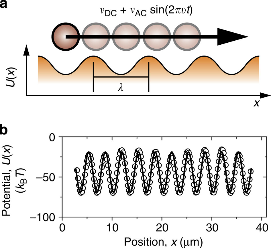 Microscopic dynamics of synchronization in driven colloids.,Nature ...