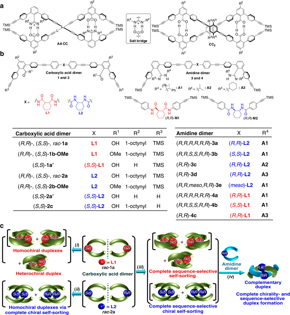 Chirality- and sequence-selective successive self-sorting via specific ...