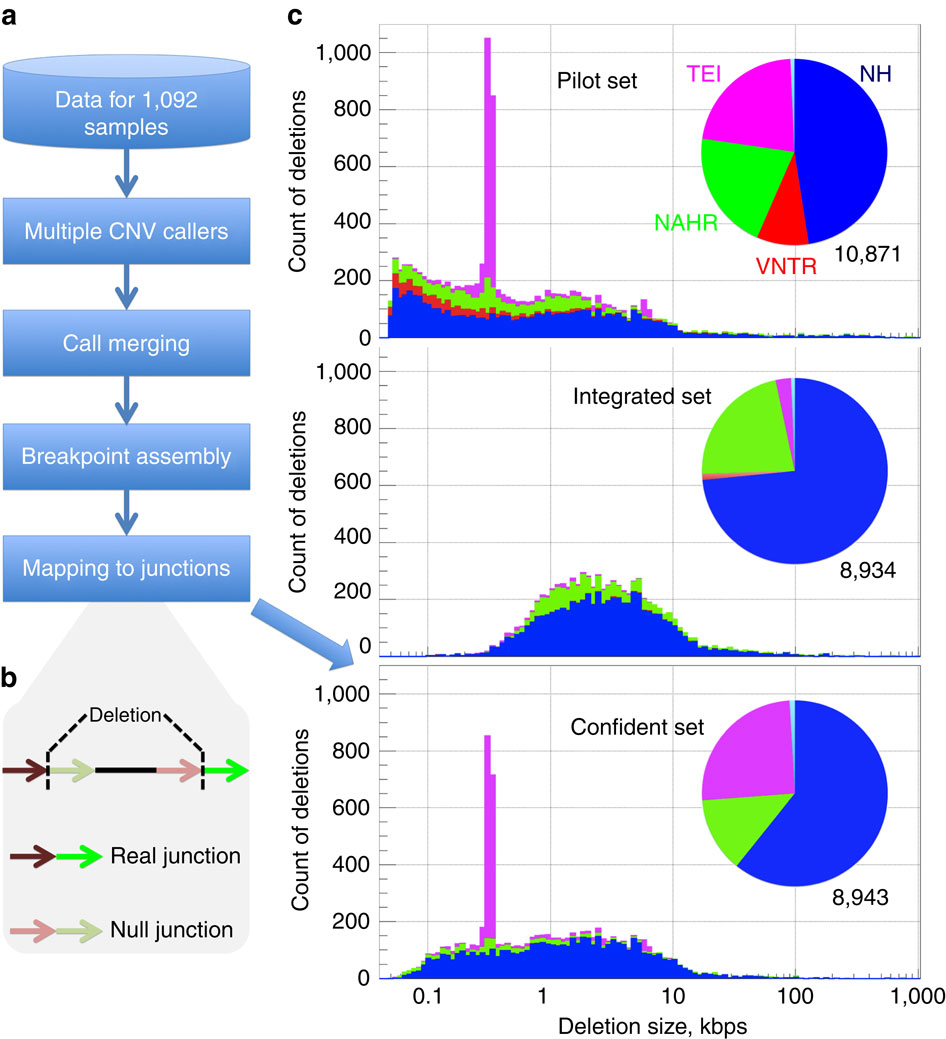 Analysis of deletion breakpoints from 1,092 humans reveals details of mutation mechanisms ...
