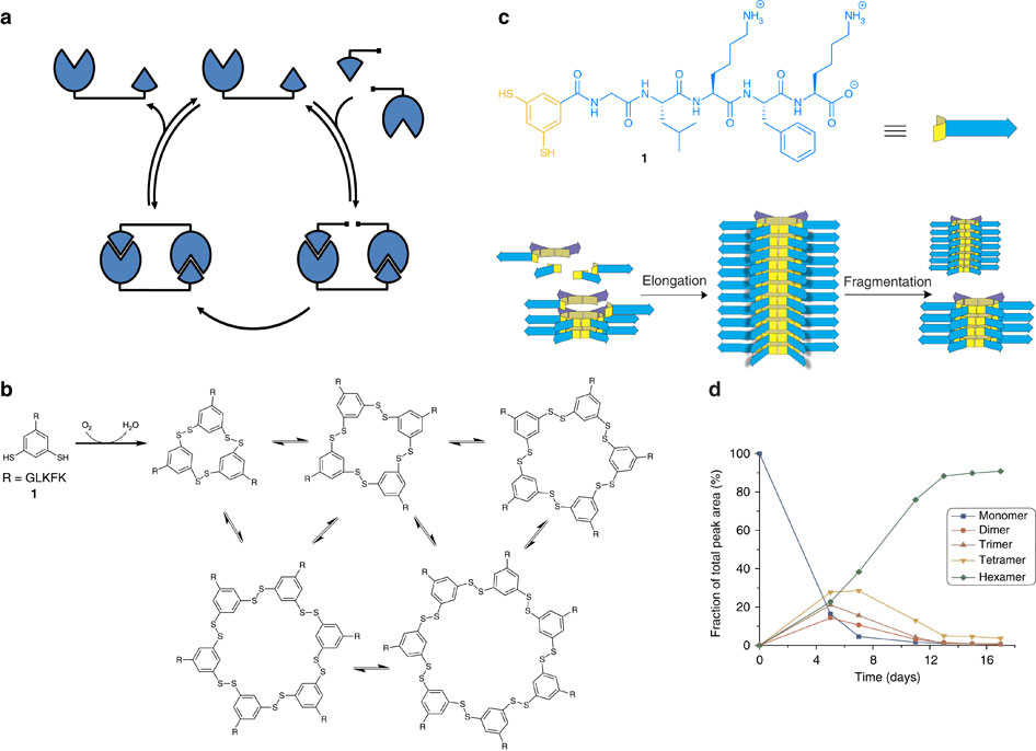 Exponential self-replication enabled through a fibre elongation ...