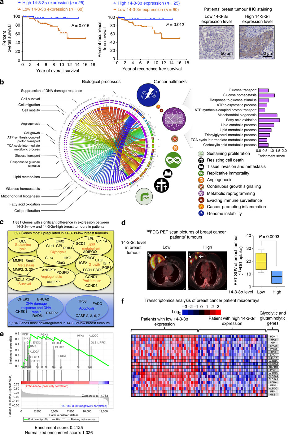 The cell cycle regulator 14-3-3σ opposes and reverses cancer metabolic ...