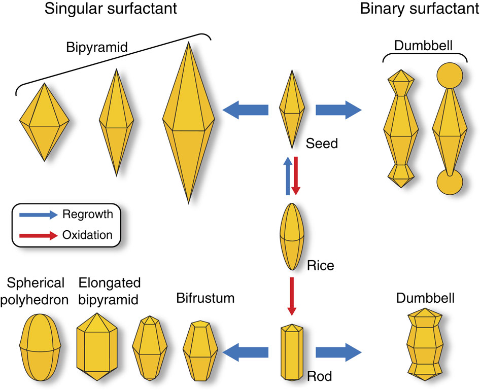 Bipyramid-templated synthesis of monodisperse anisotropic gold ...