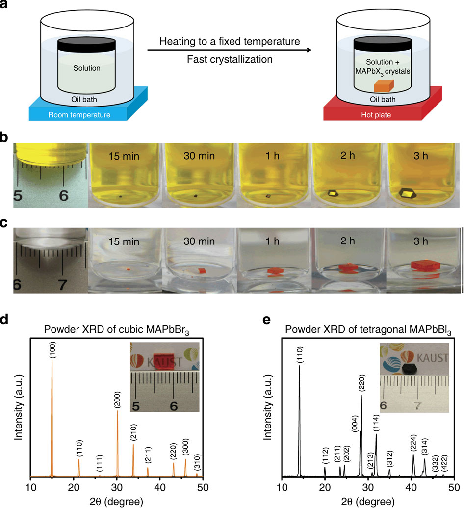 High-quality bulk hybrid perovskite single crystals within minutes by ...