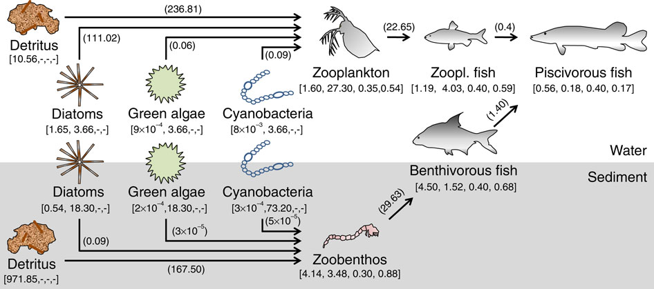 Food-web stability signals critical transitions in temperate shallow ...