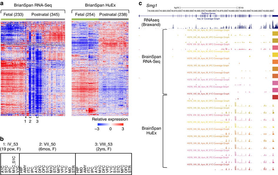 mRIN for direct assessment of genome-wide and gene-specific mRNA integrity from large-scale RNA ...