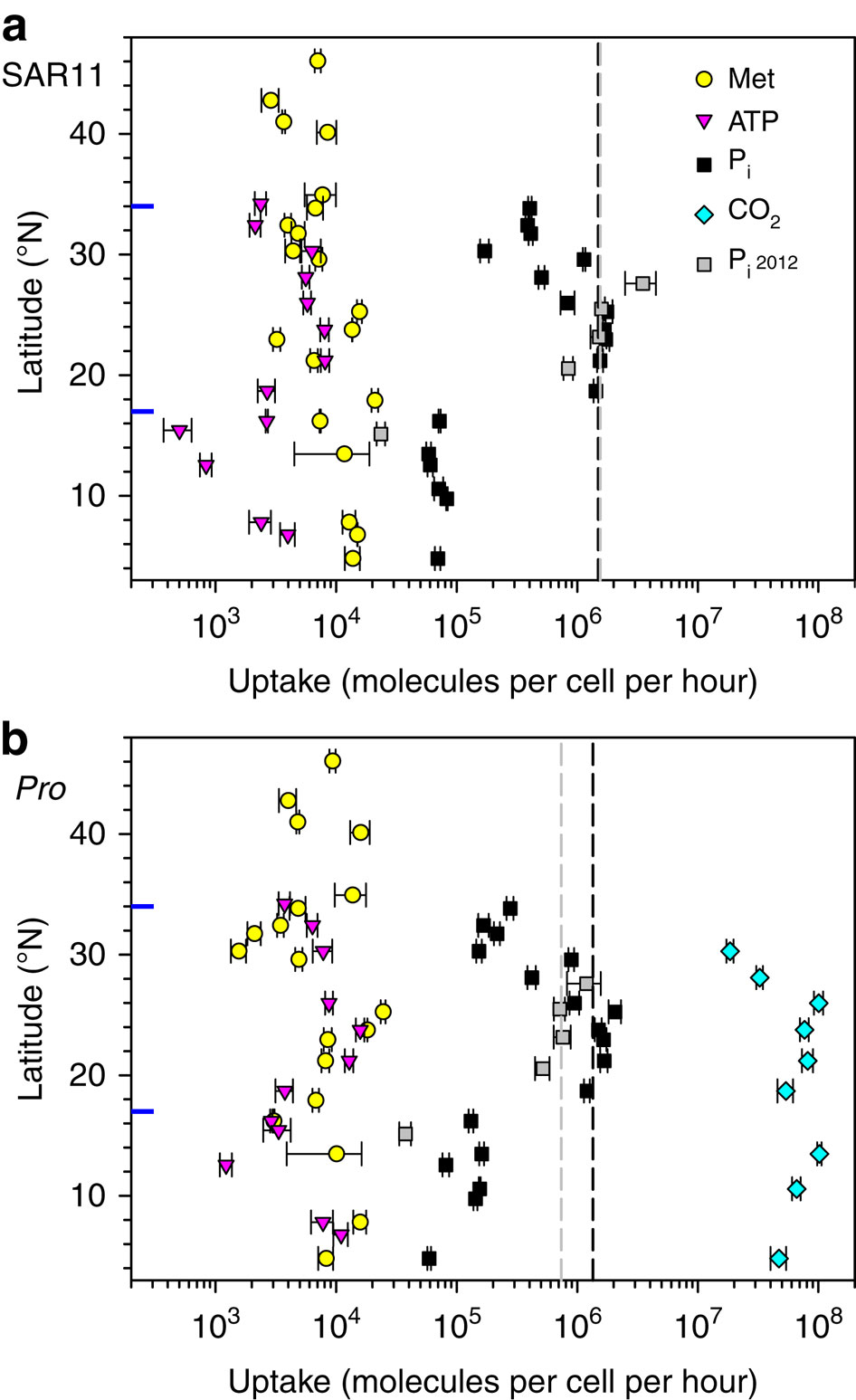 Dominant oceanic bacteria secure phosphate using a large extracellular ...
