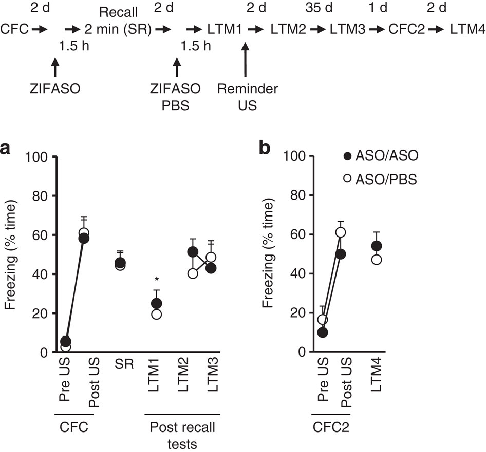 Rescue of long-term memory after reconsolidation blockade.,Nature ...
