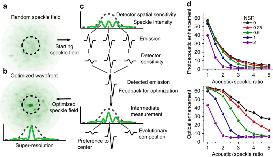 Super-resolution photoacoustic imaging through a scattering wall ...