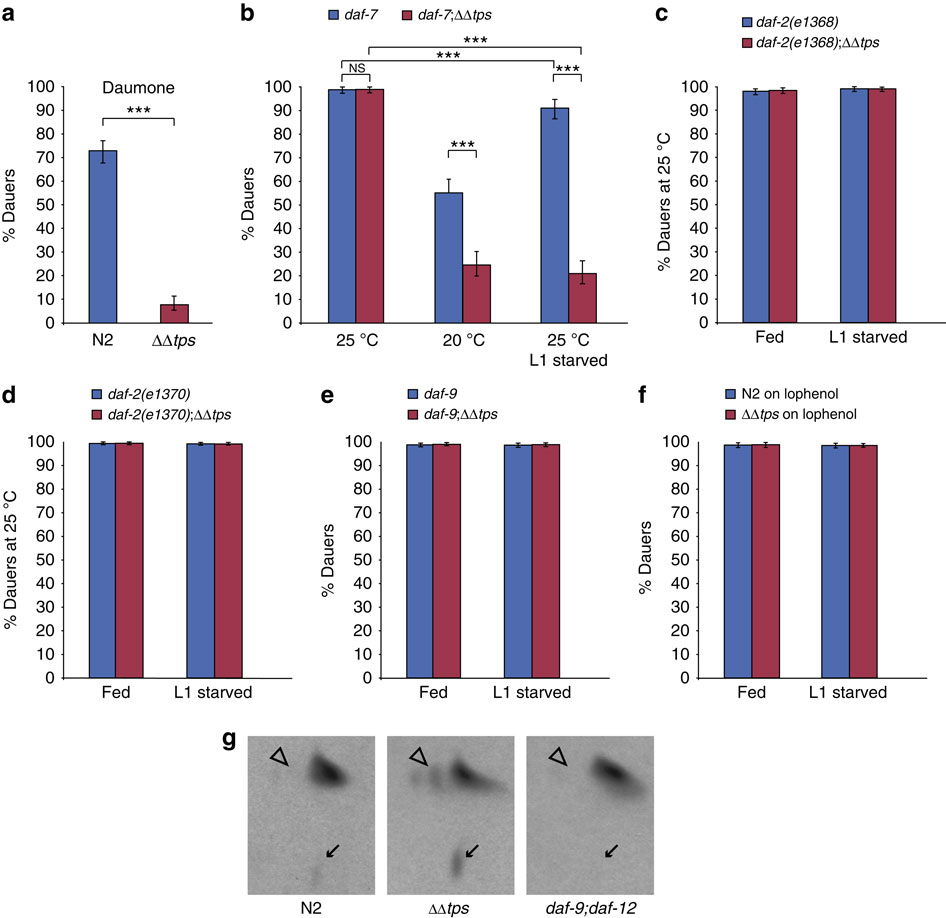 Integration of carbohydrate metabolism and redox state controls dauer ...