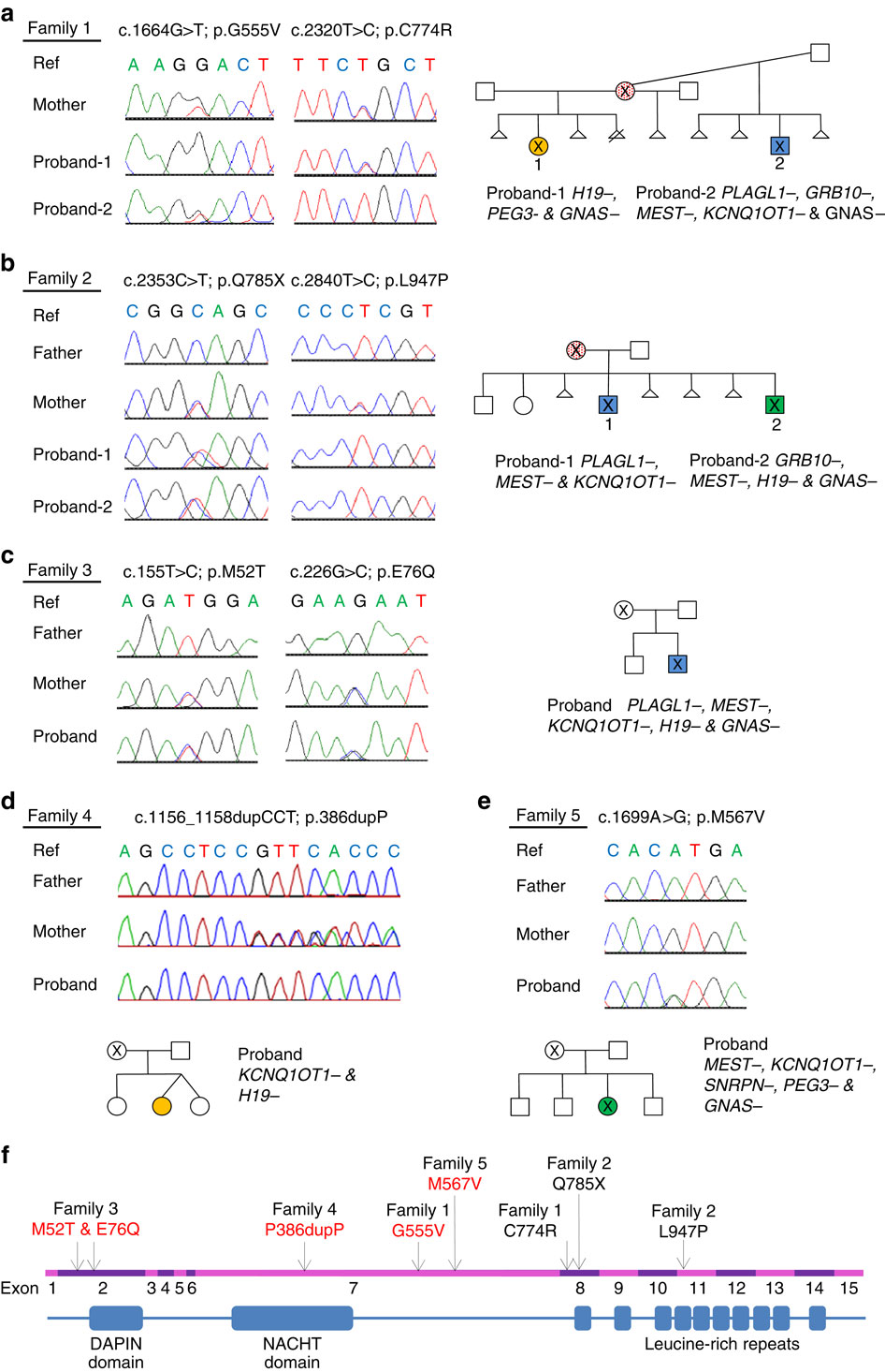 Mutations in NLRP5 are associated with reproductive wastage and ...
