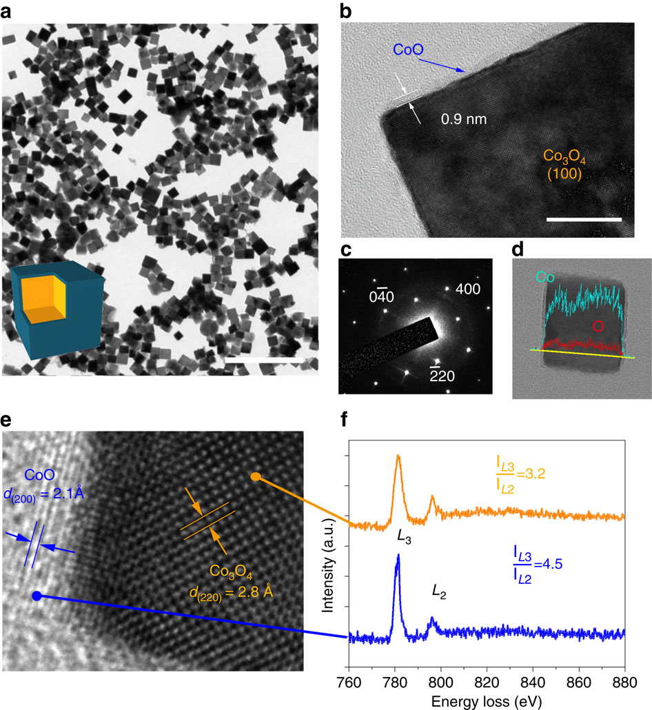 Reversible adapting layer produces robust single-crystal ...