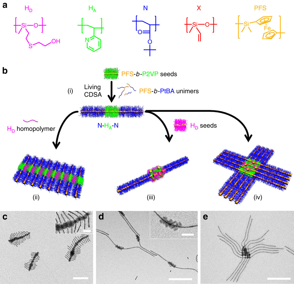 Non-covalent synthesis of supermicelles with complex architectures using spatially confined ...