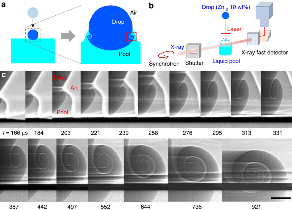Origin and dynamics of vortex rings in drop splashing.,Nature ...