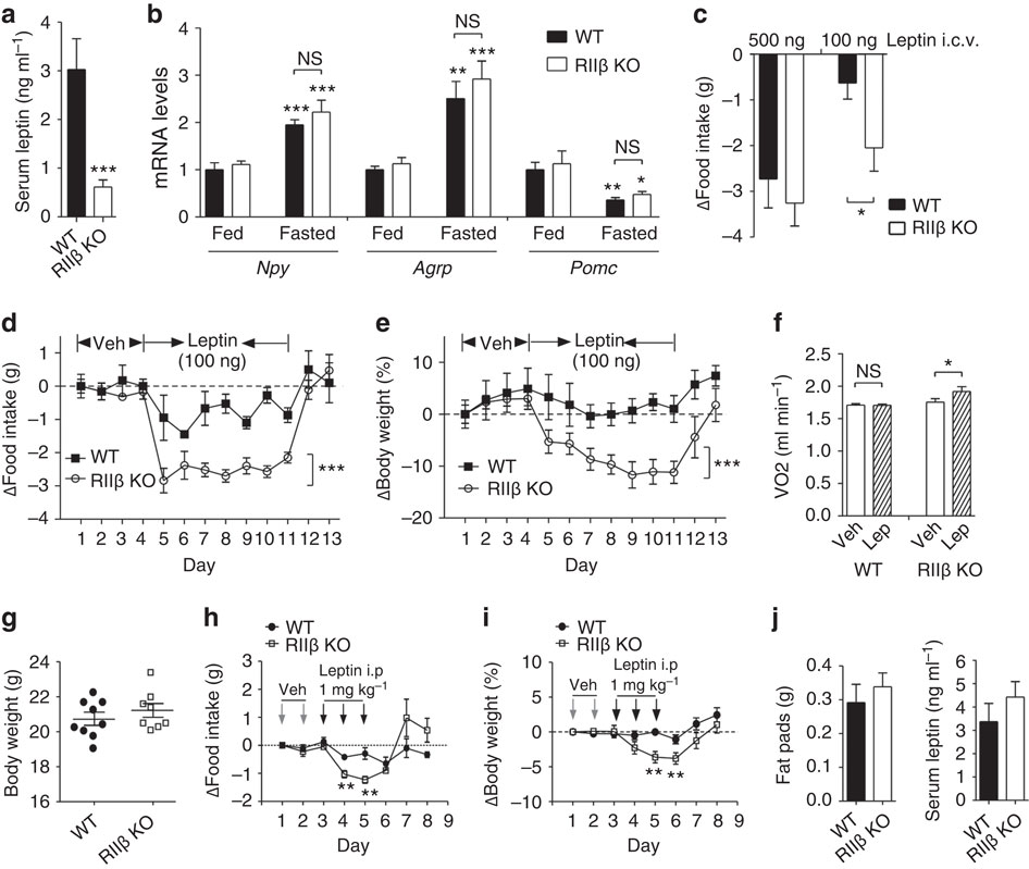 下丘脑PKA调节瘦素敏感性和肥胖。,Nature Communications - X-MOL