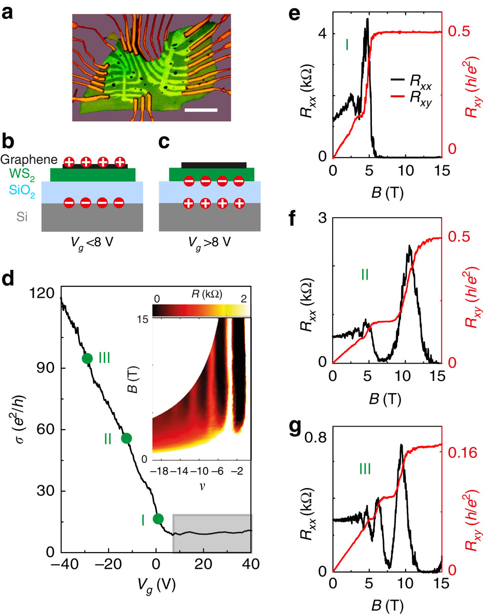 Strong interface-induced spin-orbit interaction in graphene on WS2 ...