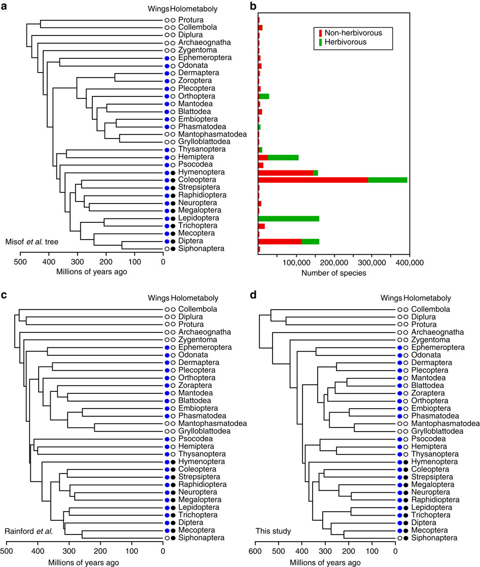 Herbivory increases diversification across insect clades.,Nature ...