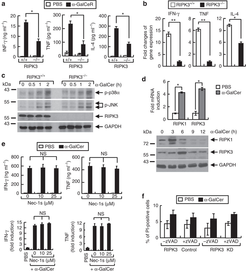 Regulation of NKT cell-mediated immune responses to tumours and liver ...