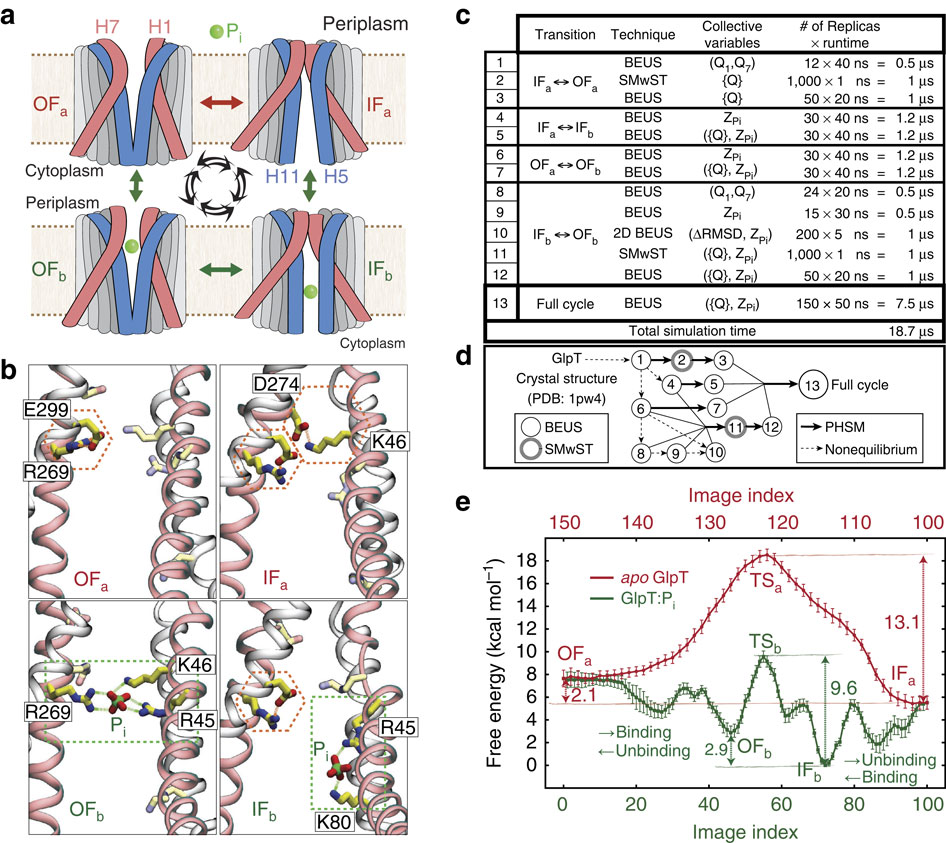 Atomic Level Characterization Of Transport Cycle Thermodynamics In The