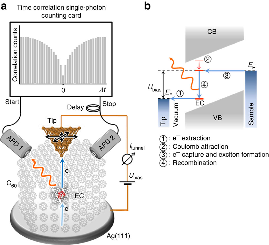 Exciton dynamics of C60-based single-photon emitters explored by ...