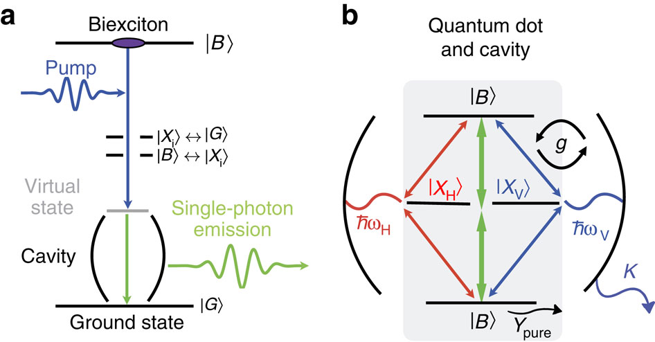 A quantum dot single-photon source with on-the-fly all-optical ...